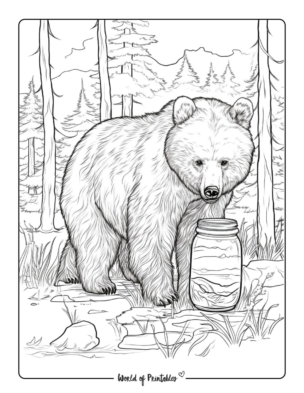 Bear Coloring Pages For Kids & Adults - World of Printables