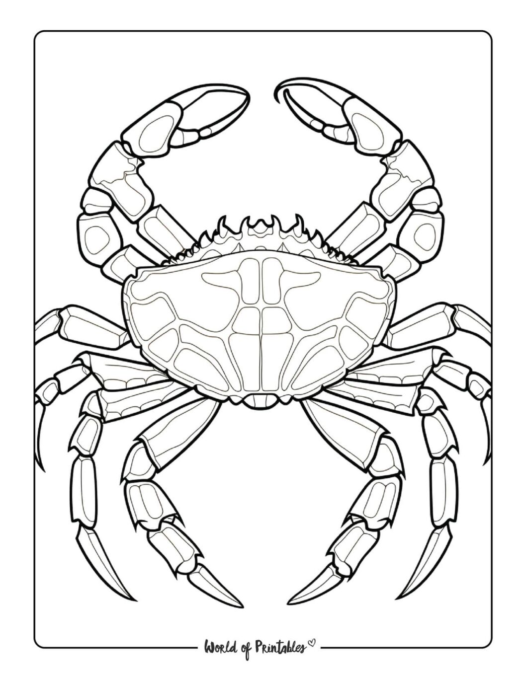 Sea Animal Coloring Pages For Kids & Adults - World of Printables