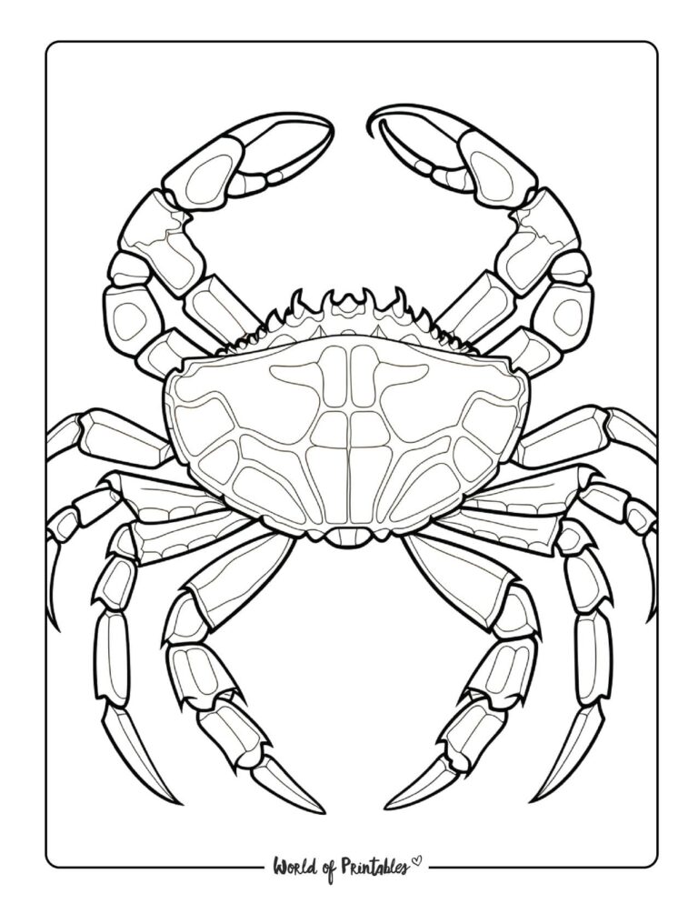 Sea Animal Coloring Pages For Kids & Adults - World of Printables