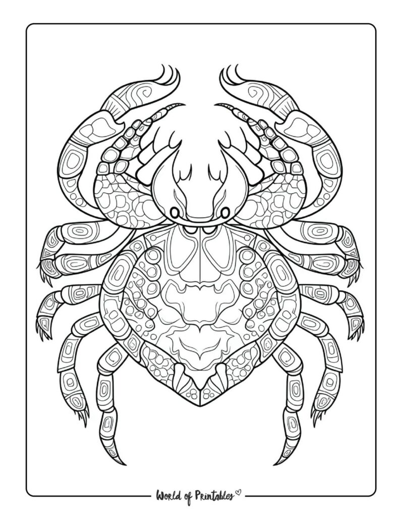 Sea Animal Coloring Pages For Kids & Adults - World of Printables