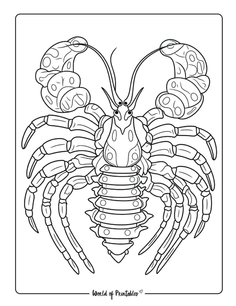 Sea Animal Coloring Pages For Kids & Adults - World of Printables