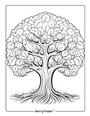 Tree Coloring Pages - World of Printables