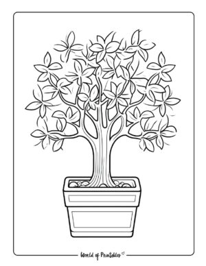 Tree Coloring Pages - World of Printables