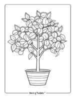Tree Coloring Pages - World of Printables