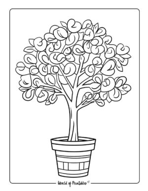Tree Coloring Pages - World of Printables