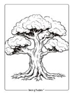 Tree Coloring Pages - World of Printables
