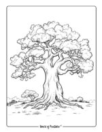 Tree Coloring Pages - World of Printables