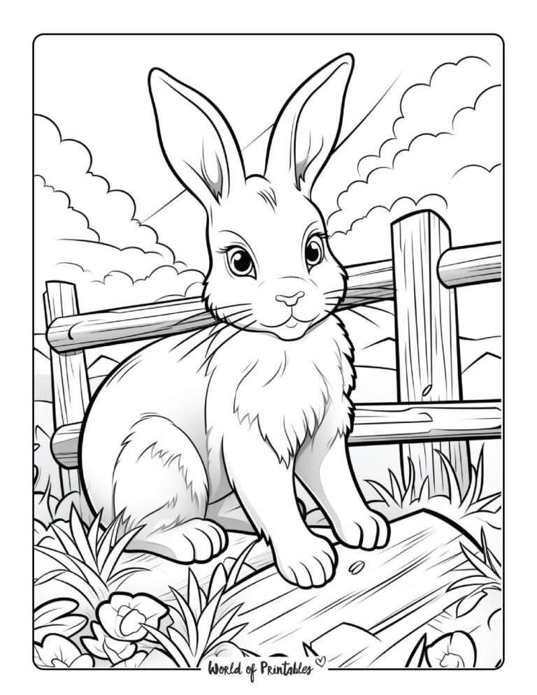 Bunny Coloring Pages - World of Printables