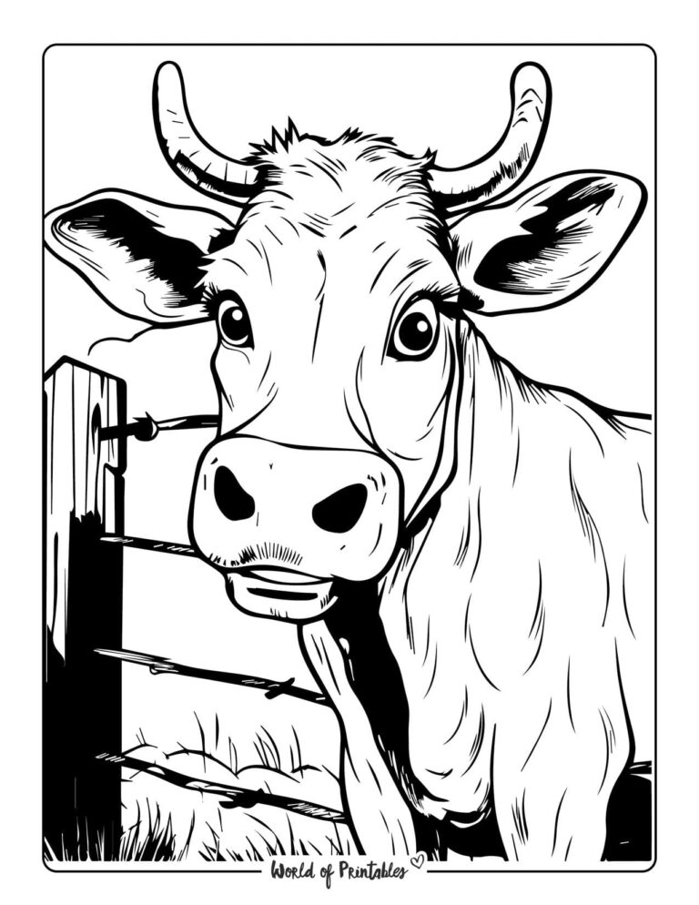 Cow Coloring Pages For Kids & Adults - World of Printables