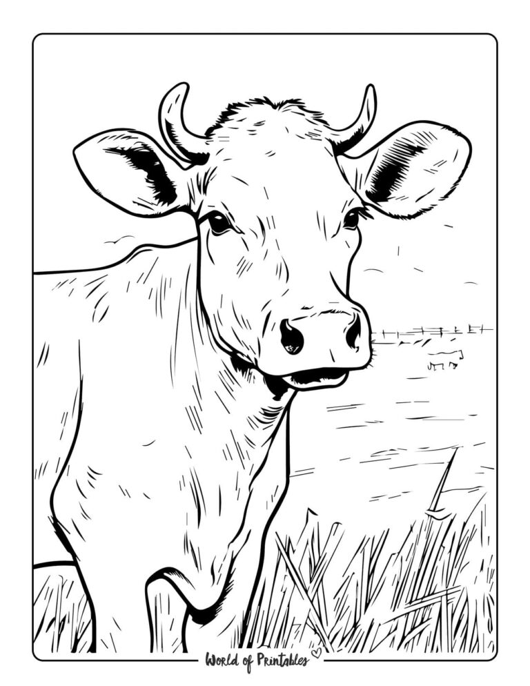 Cow Coloring Pages For Kids & Adults - World of Printables