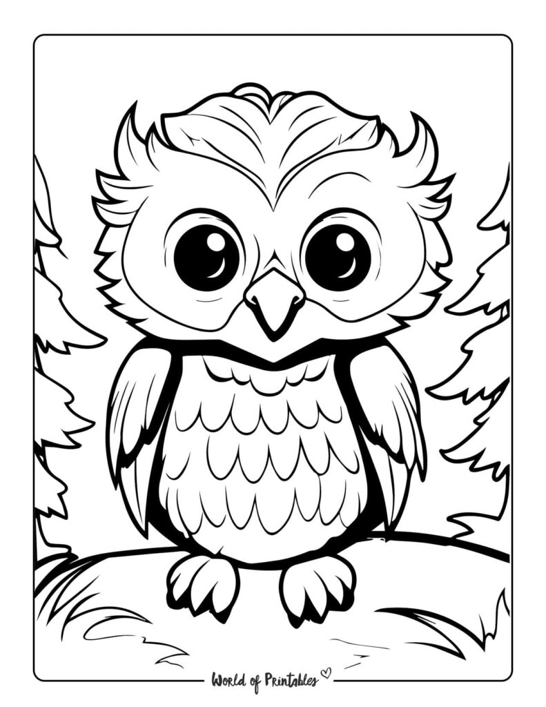 Owl Coloring Pages For Kids & Adults - World of Printables