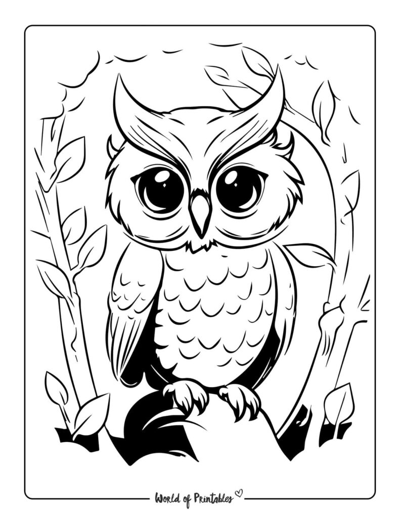 Owl Coloring Pages For Kids & Adults - World of Printables