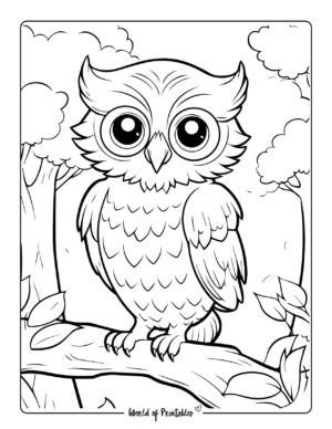 Owl Coloring Pages For Kids & Adults - World of Printables