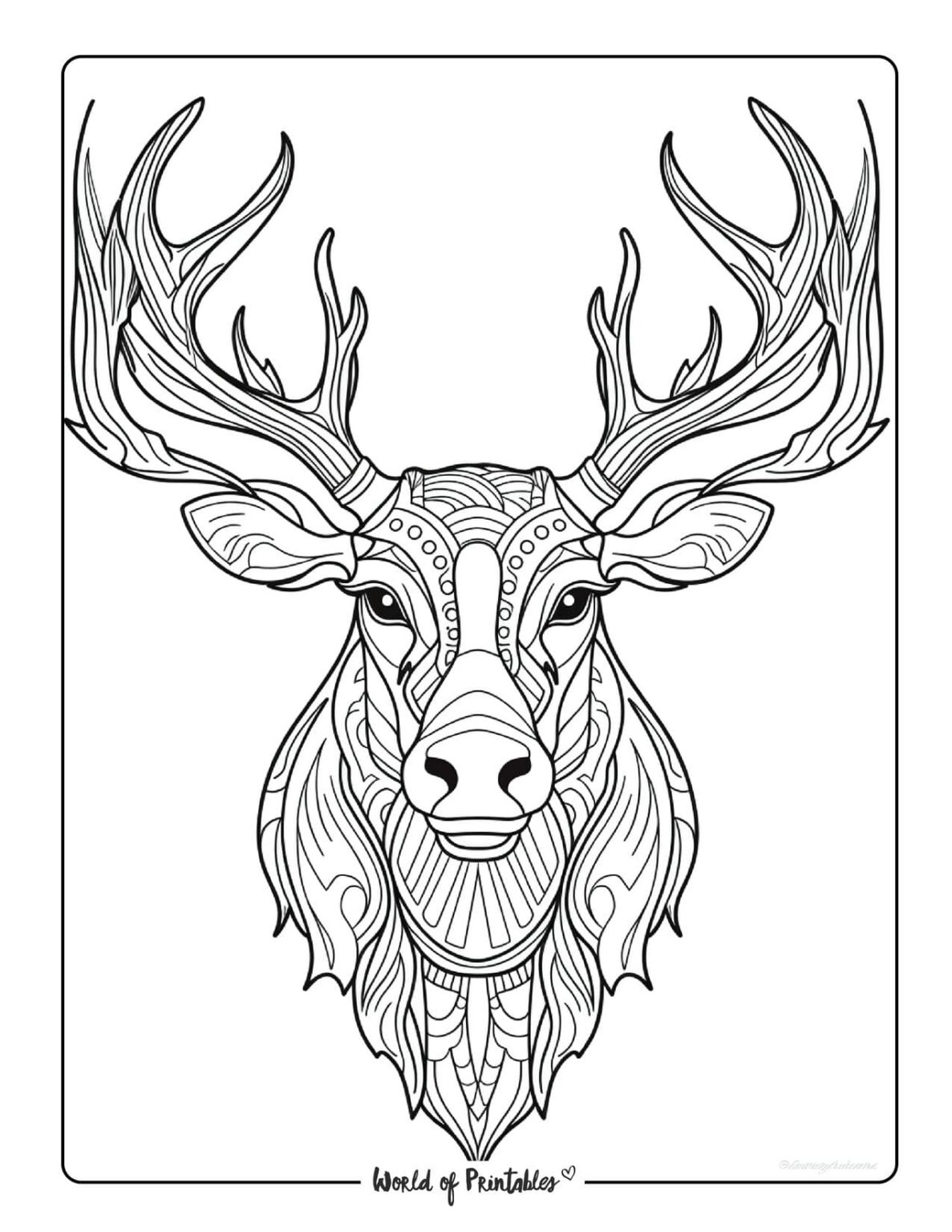Animal Coloring Pages For Kids & Adults - World of Printables