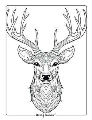Animal Coloring Pages For Kids & Adults - World of Printables