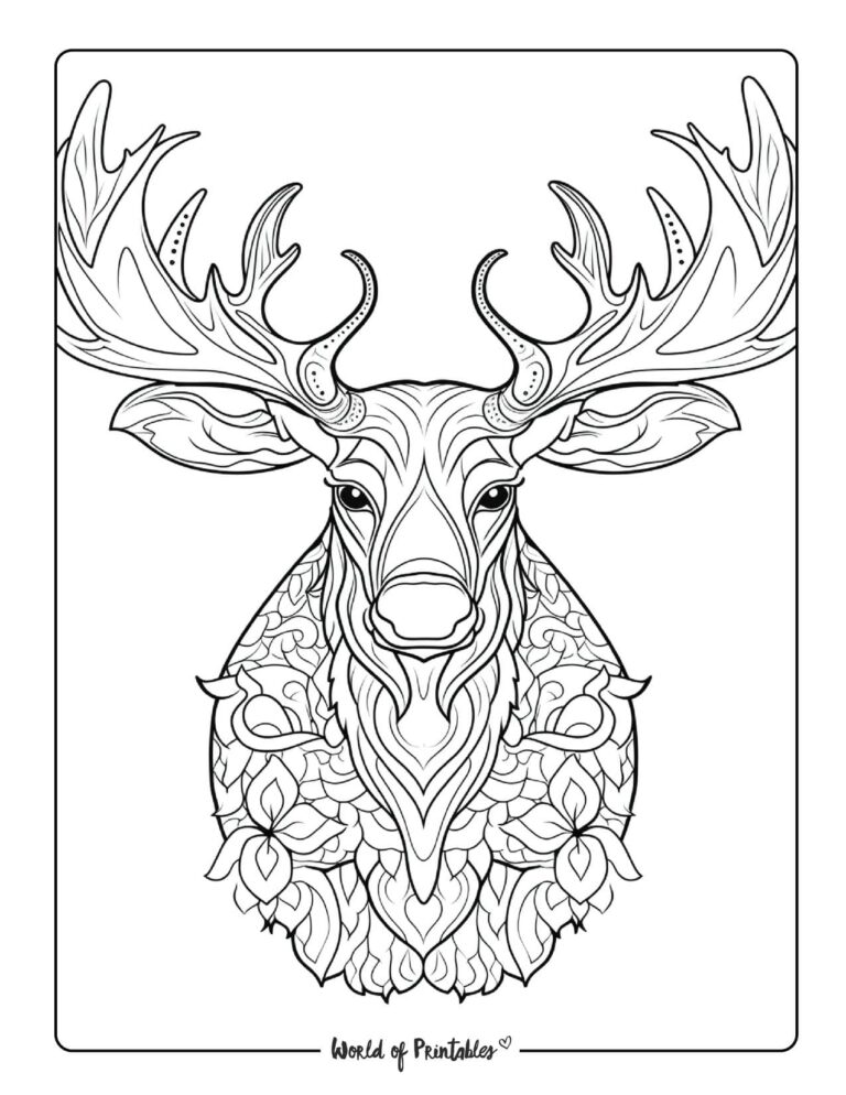 Animal Coloring Pages For Kids & Adults - World of Printables