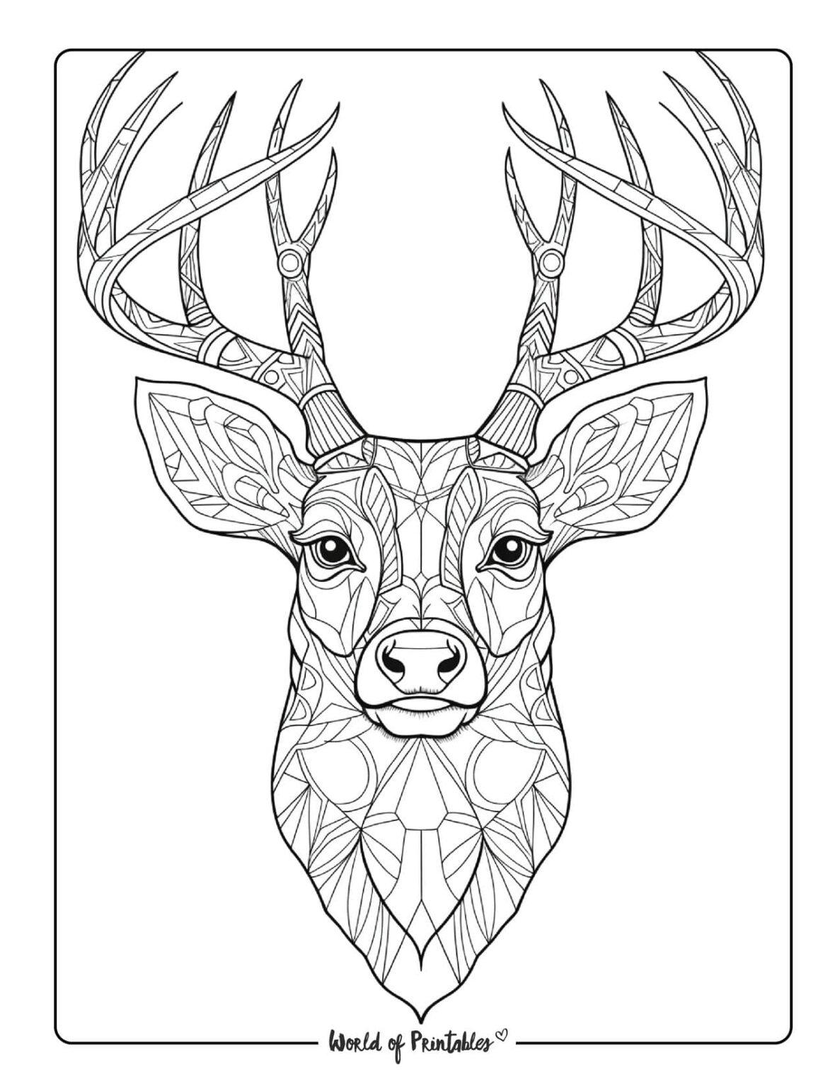 Animal Coloring Pages For Kids & Adults - World of Printables