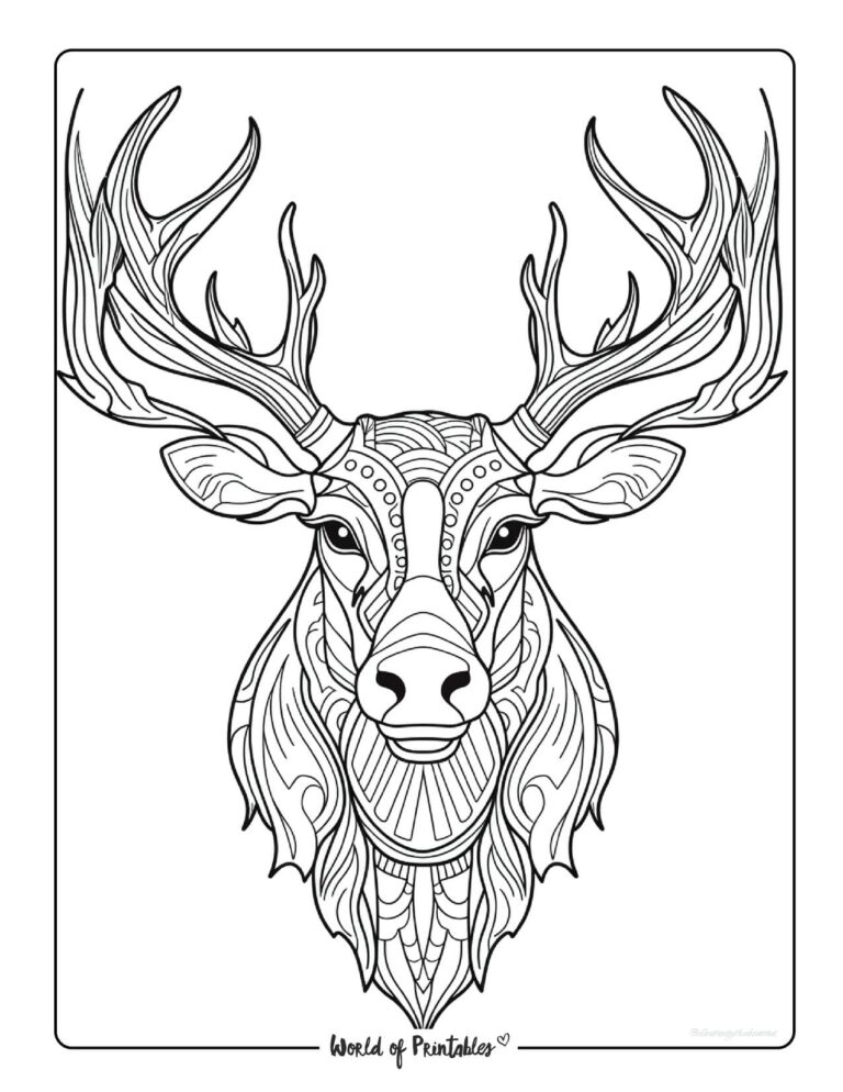 Animal Coloring Pages For Kids & Adults - World of Printables