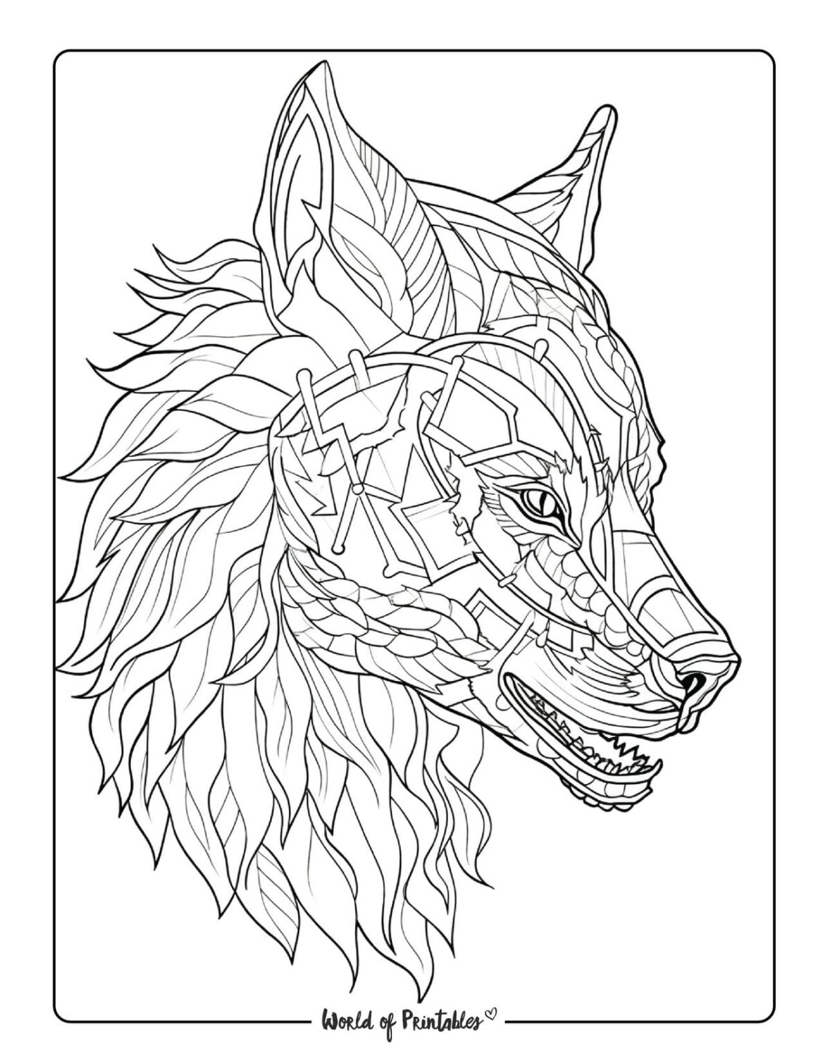Animal Coloring Pages For Kids & Adults - World of Printables