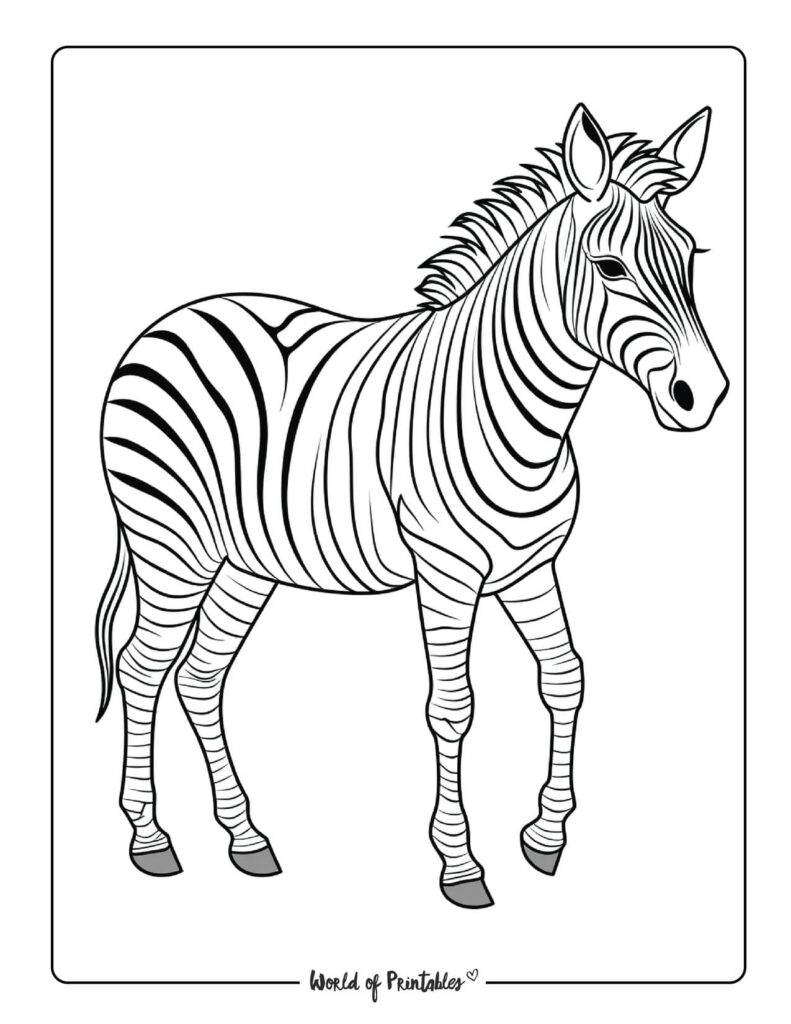 Animal Coloring Pages For Kids & Adults - World of Printables