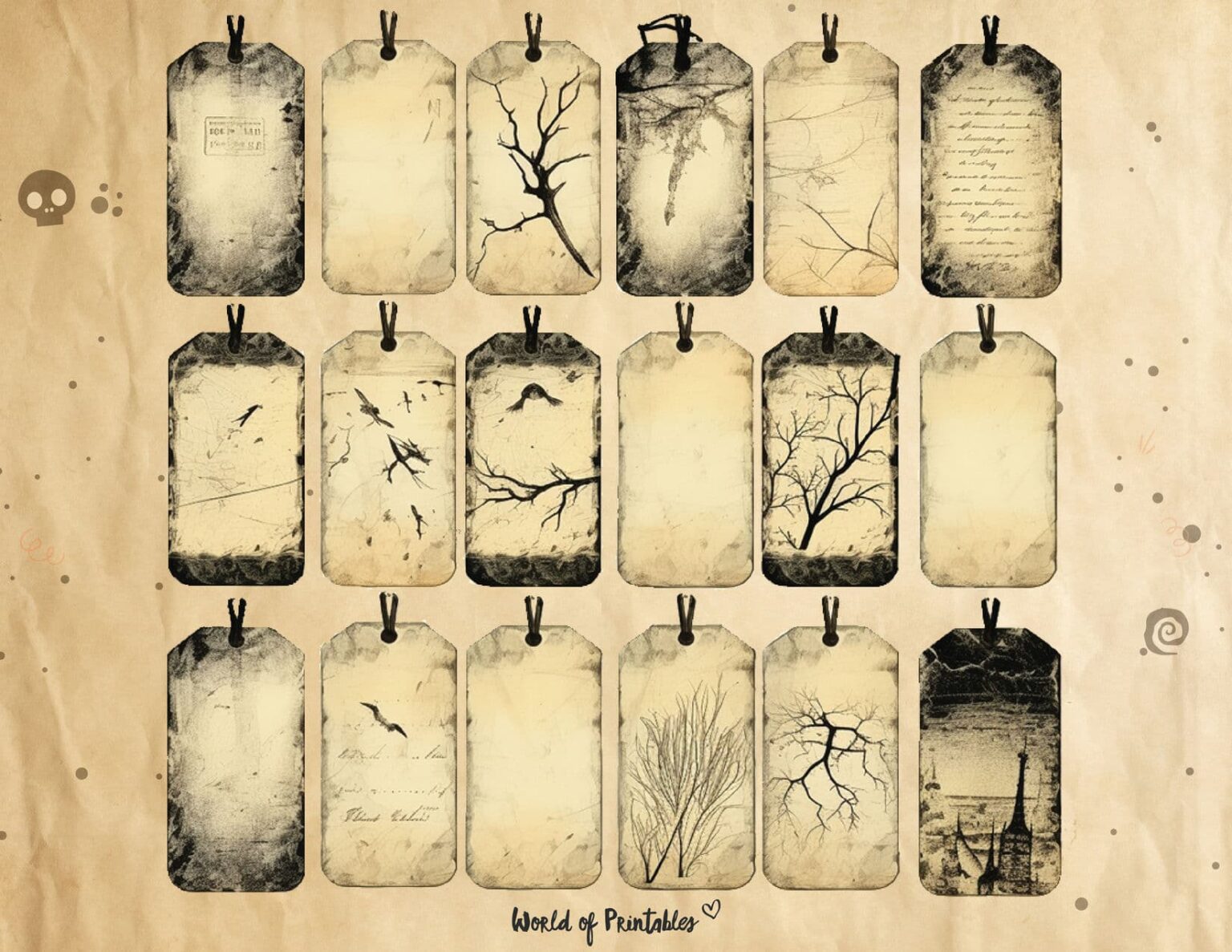 Potion Labels | 100 Halloween Bottle Labels - World of Printables