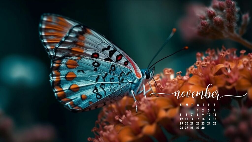 November Calendar Wallpaper | 80 Best Desktop & Phone Backgrounds