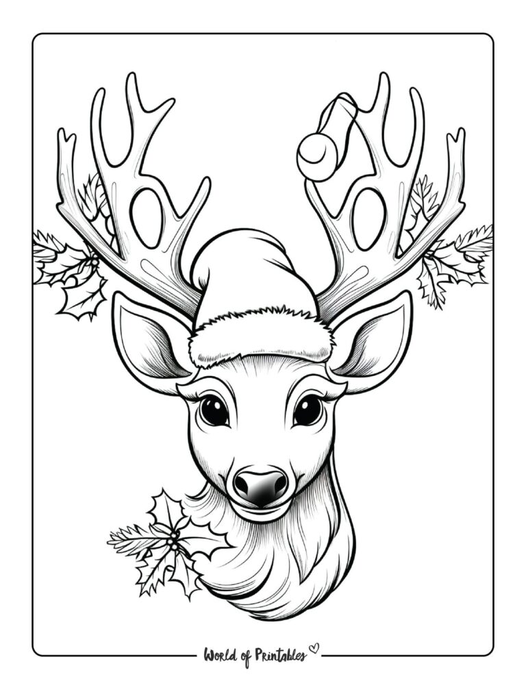 Reindeer Coloring Pages - World of Printables