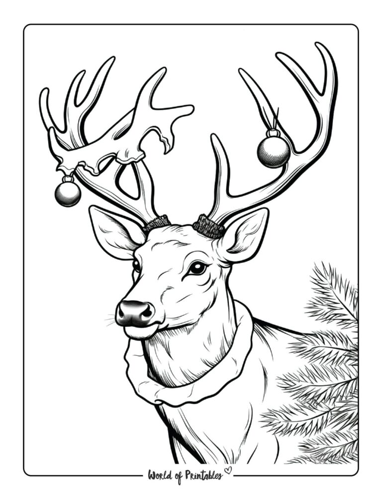 Reindeer Coloring Pages - World of Printables