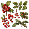 Christmas Holly Clipart - World of Printables