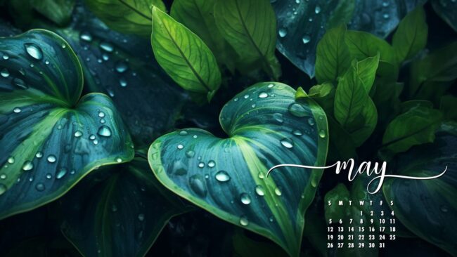 Free May 2024 Calendar Wallpaper