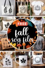 50 Free Fall SVG Files - World of Printables