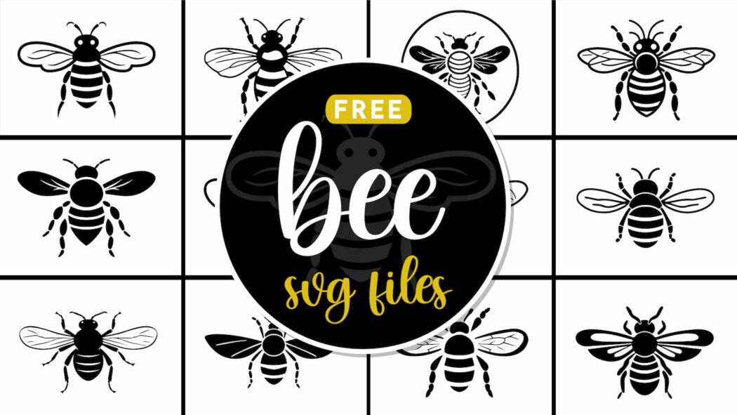 10+ Free Bee SVG Files - World of Printables