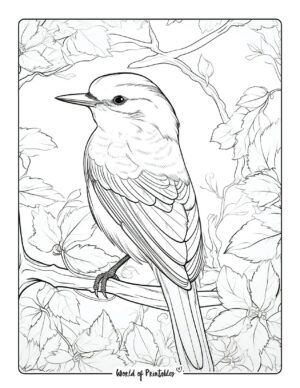 Spring Coloring Pages - World of Printables