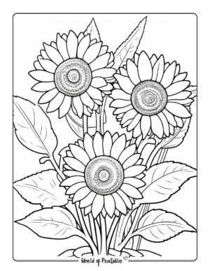 Spring Coloring Pages - World of Printables