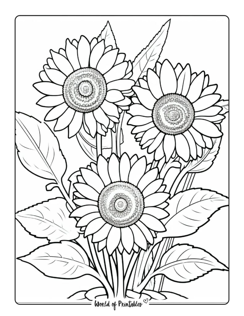 Spring Coloring Pages - World of Printables