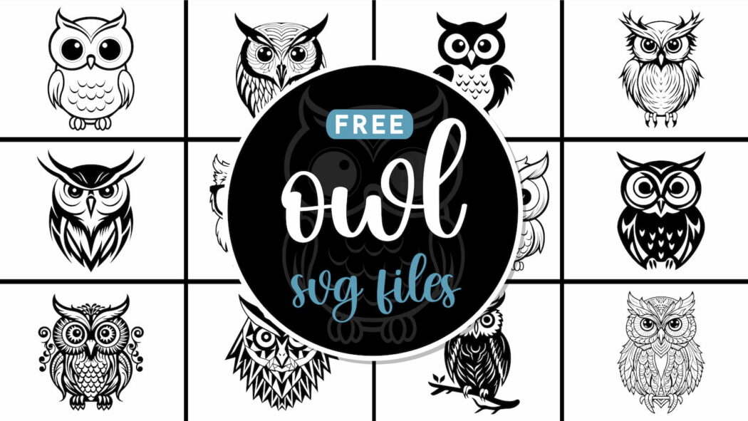 60+ Free Bow SVG Files - World of Printables