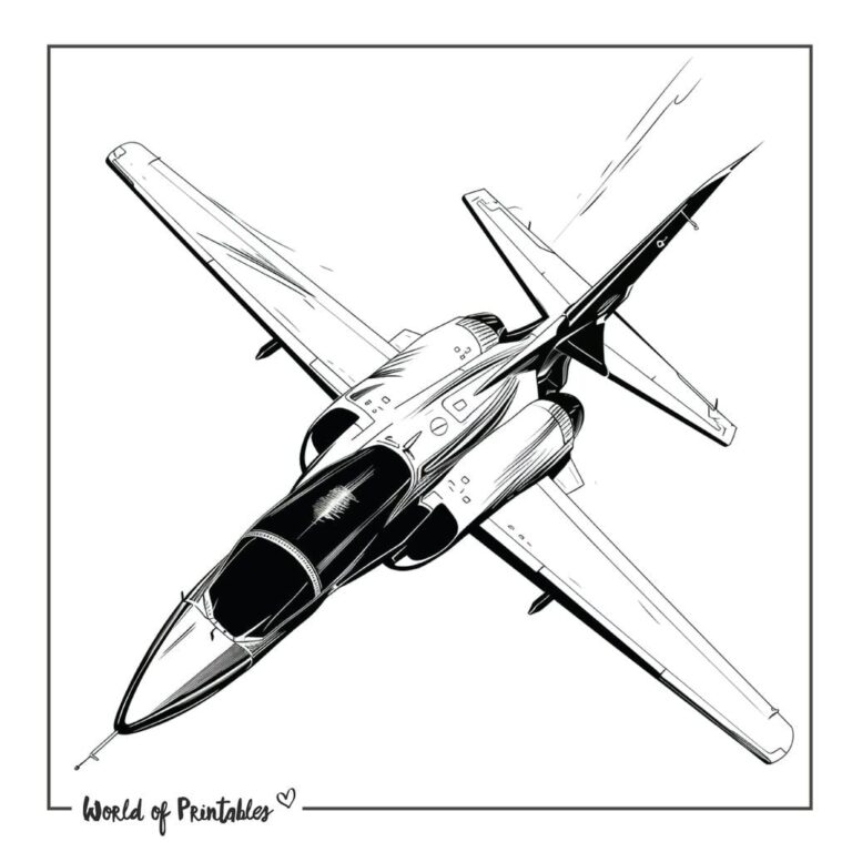 Airplane Tattoo Designs - 70+ Printable Designs & Ideas - World of ...