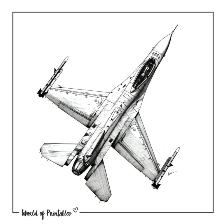 Airplane Tattoo Designs - 70+ Printable Designs & Ideas - World of ...