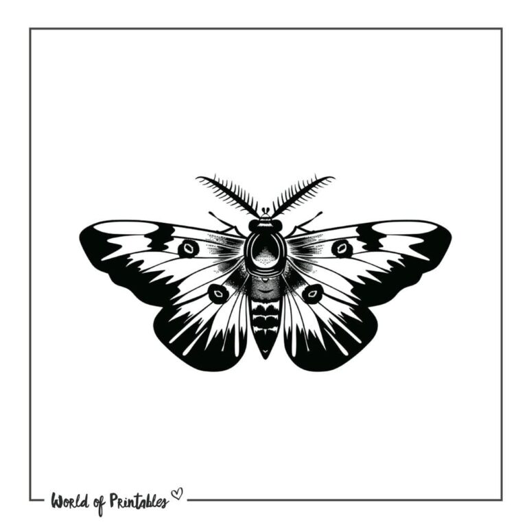 Butterfly Tattoo Designs - 260 Printable Designs & Ideas - World of ...
