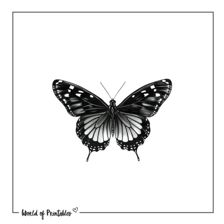 Butterfly Tattoo Designs - 260 Printable Designs & Ideas - World of ...