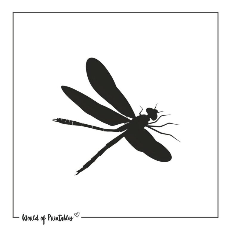Bug Tattoo Designs - 75+ Printable Designs & Ideas - World of Printables