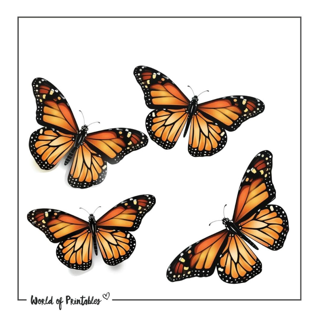 Monarch Butterfly Tattoo Designs - 45+ Printable Designs & Ideas ...