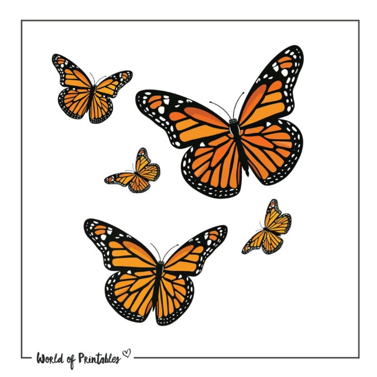 Monarch Butterfly Tattoo Designs - 45+ Printable Designs & Ideas ...