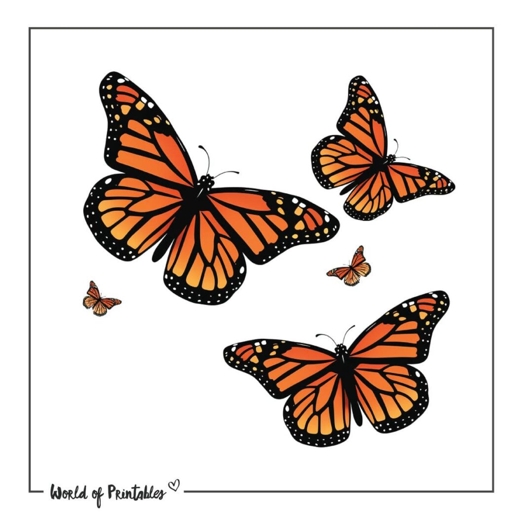 Monarch Butterfly Tattoo Designs - 45+ Printable Designs & Ideas ...
