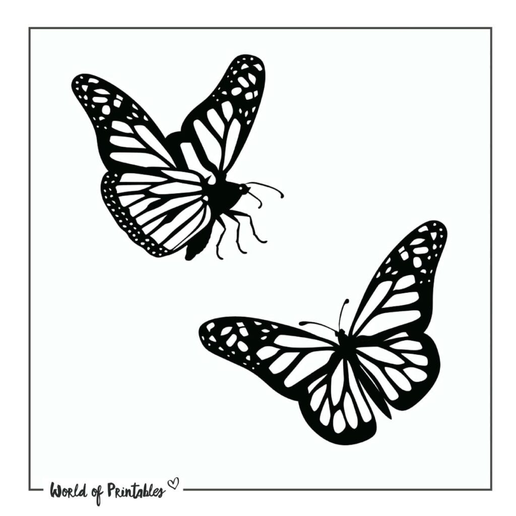 Monarch Butterfly Tattoo Designs - 45+ Printable Designs & Ideas ...