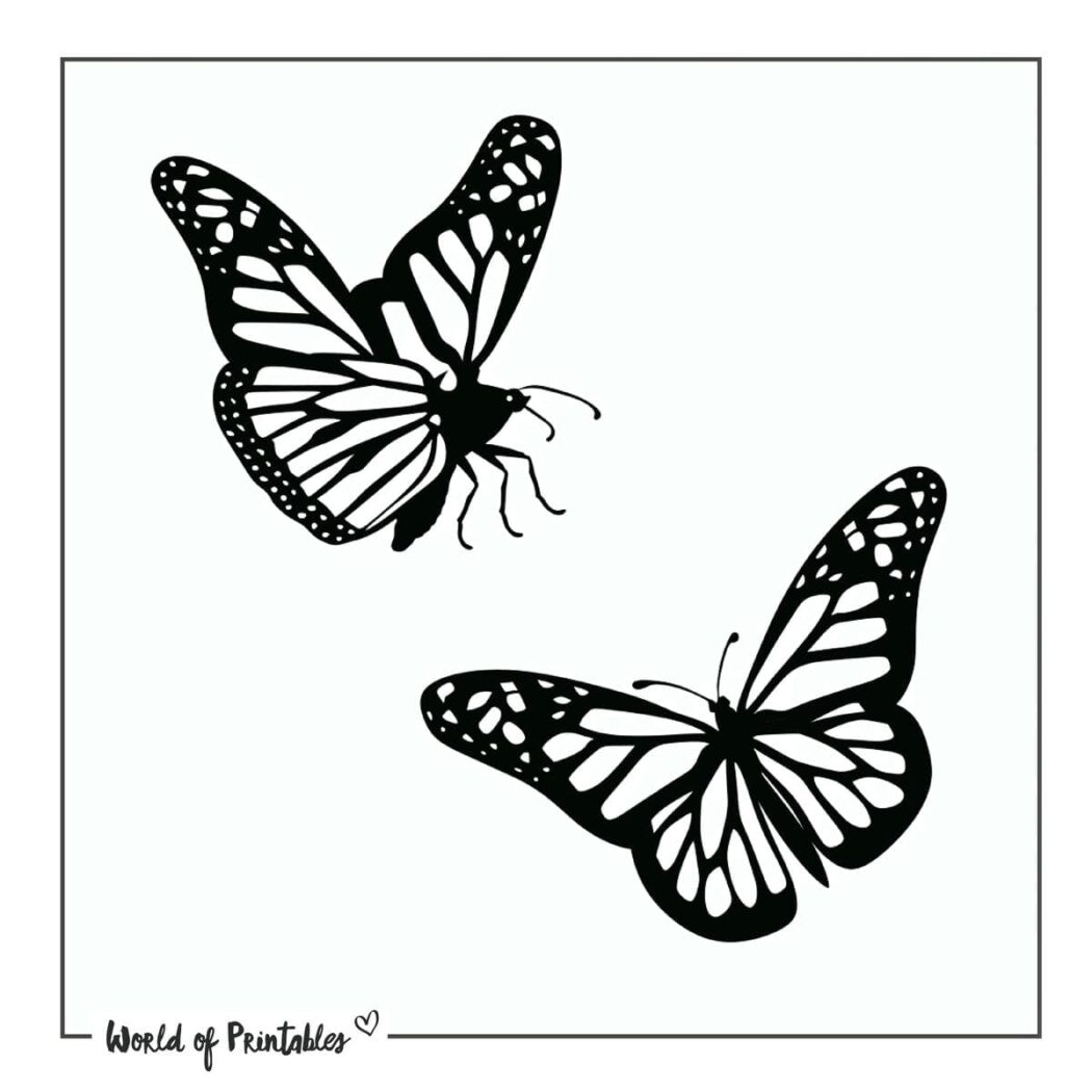 Monarch Butterfly Tattoo Designs - 45+ Printable Designs & Ideas ...