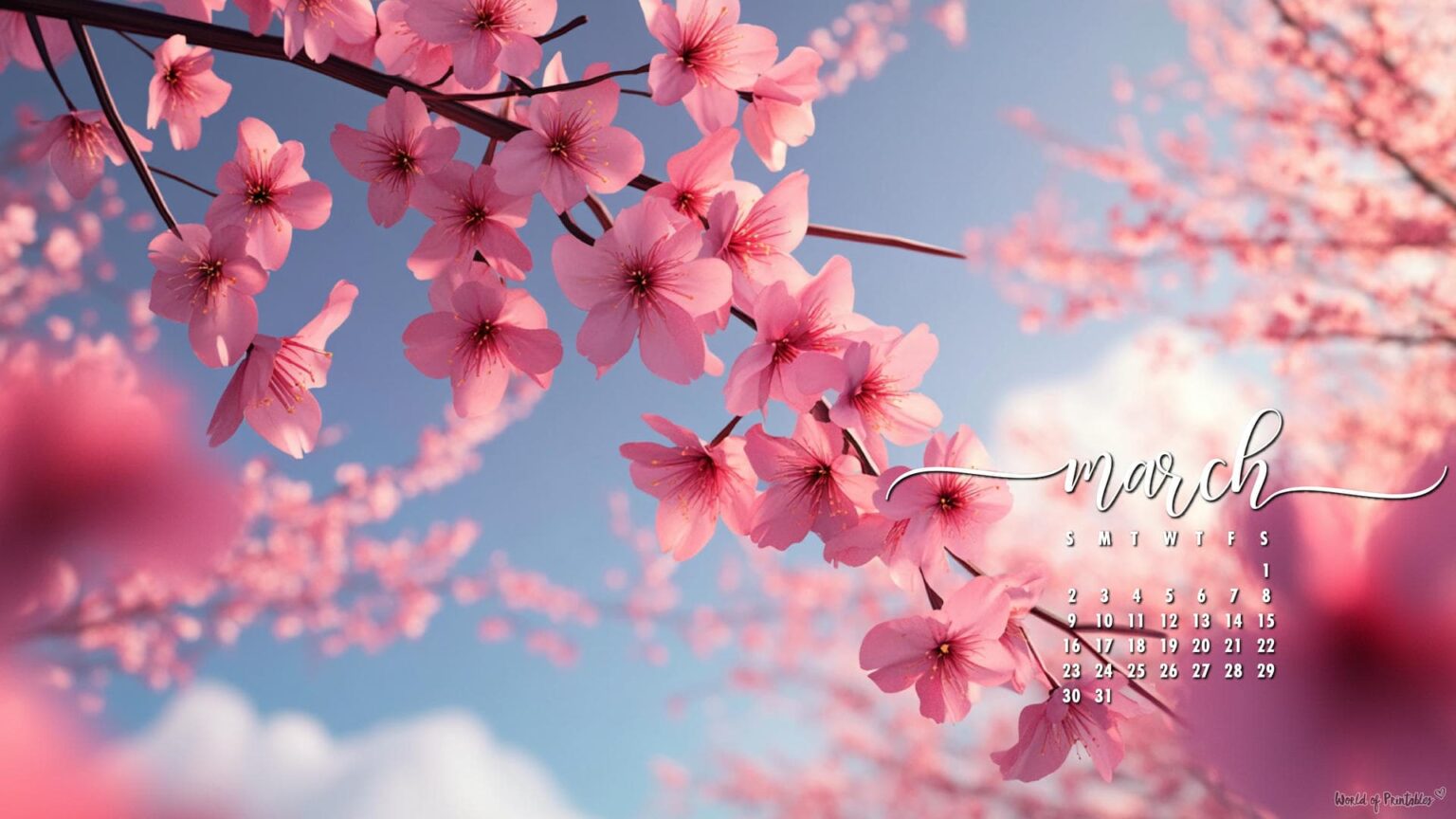 March Wallpaper | 120+ Best Desktop & Phone March Backgrounds