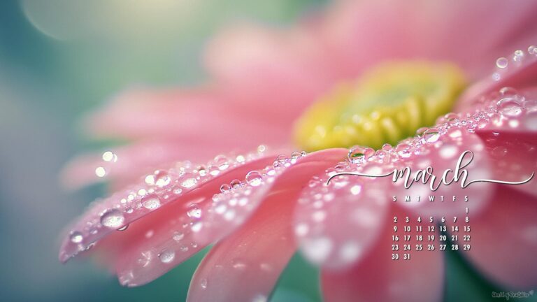 March Wallpaper | 120+ Best Desktop & Phone March Backgrounds