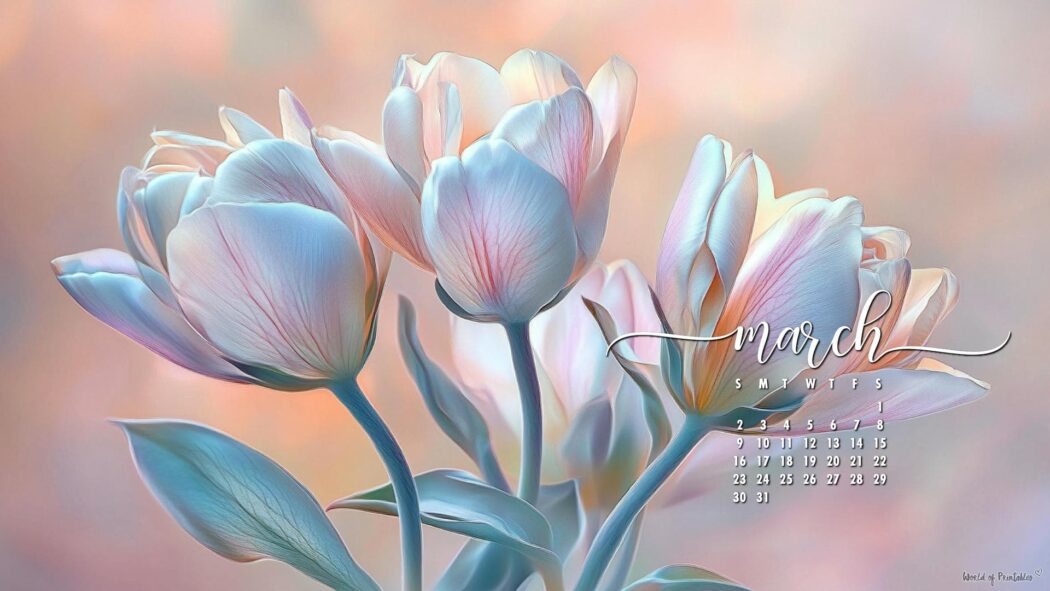 March Wallpaper | 120+ Best Desktop & Phone March Backgrounds