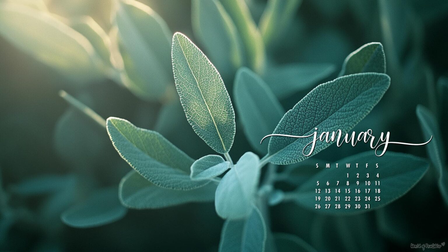 January Wallpaper | 200 Best Desktop & Phone Backgrounds - World of ...